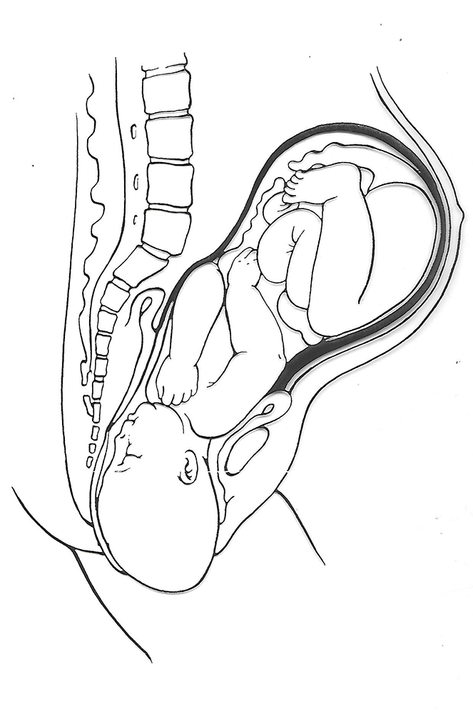 Postgraduate courses in Osteopathy | Biokinetic and biodynamic osteopathy